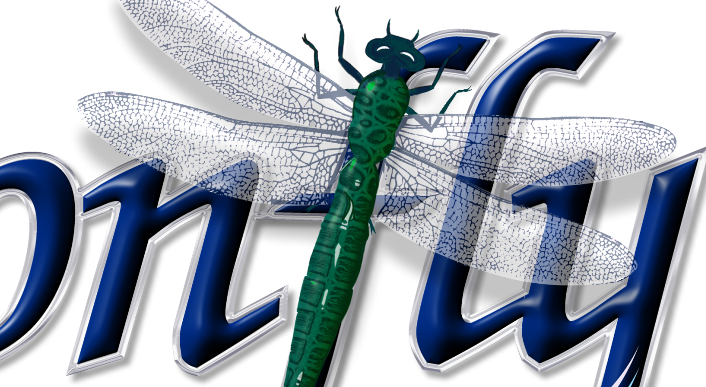 Dragonfly custom boat graphic - Boat Lettering